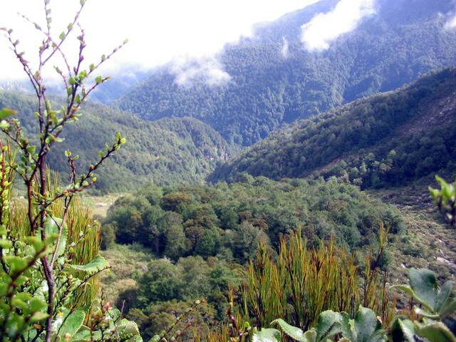 Matiri - Thousand-Acre Plateau, page 2