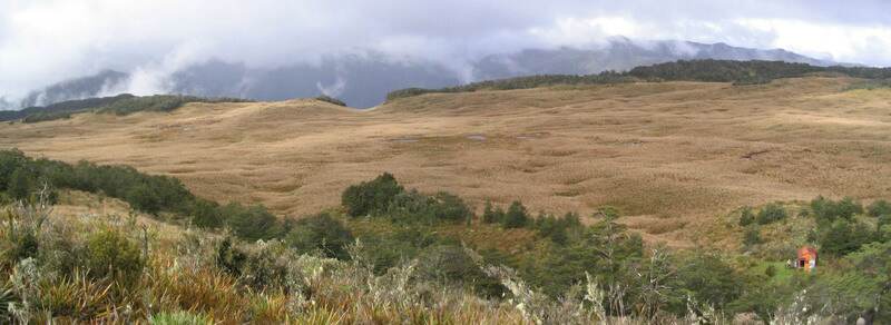 Matiri - Thousand-Acre Plateau, page 2